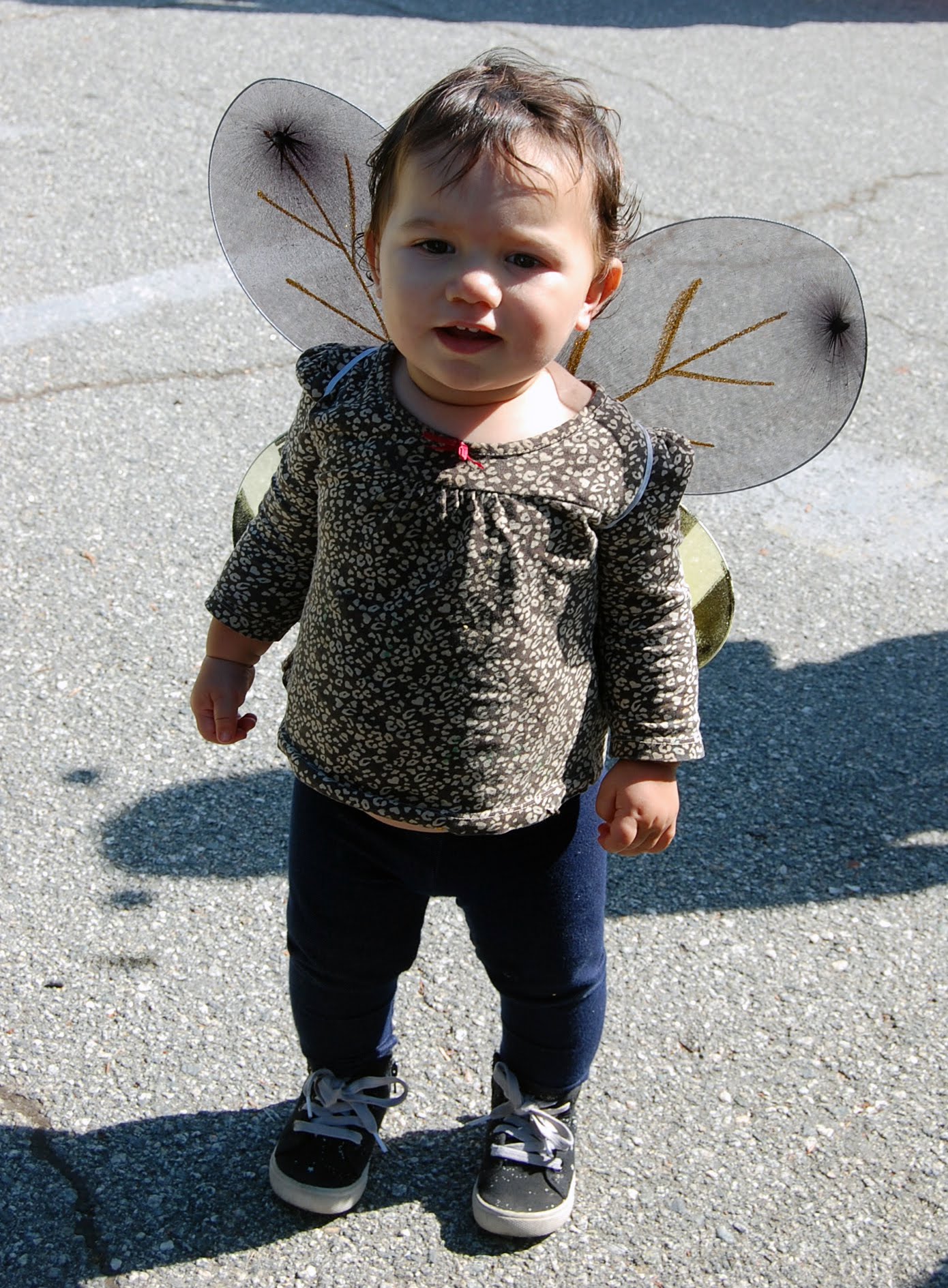 Bay Area Bee Fair – A Pollinator Party