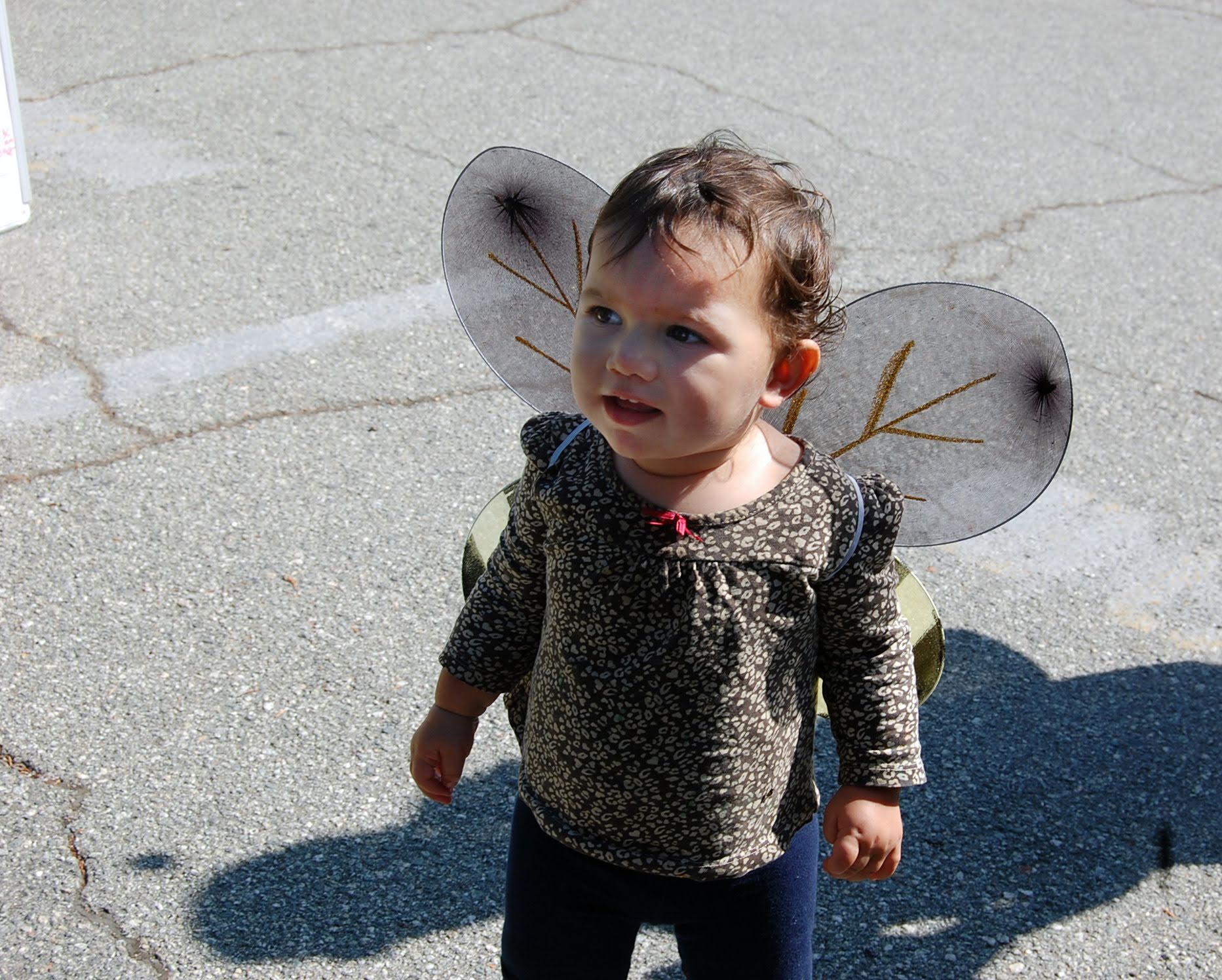 Bay Area Bee Fair – A Pollinator Party